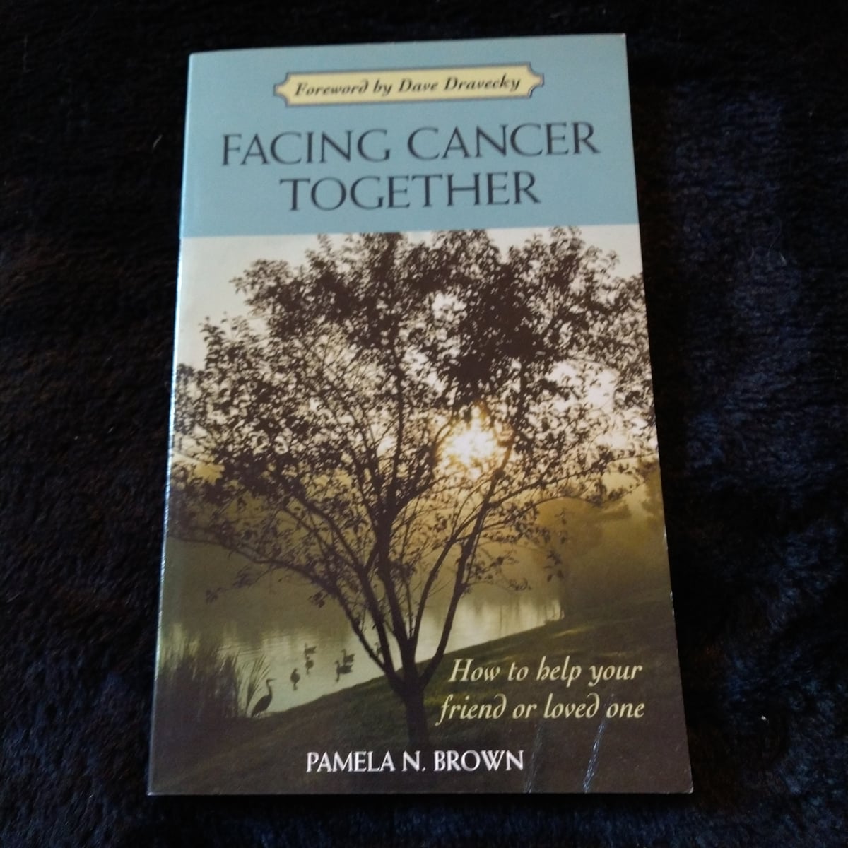 Facing Cancer Together by Pamela N. Brown, Dave Dravecky