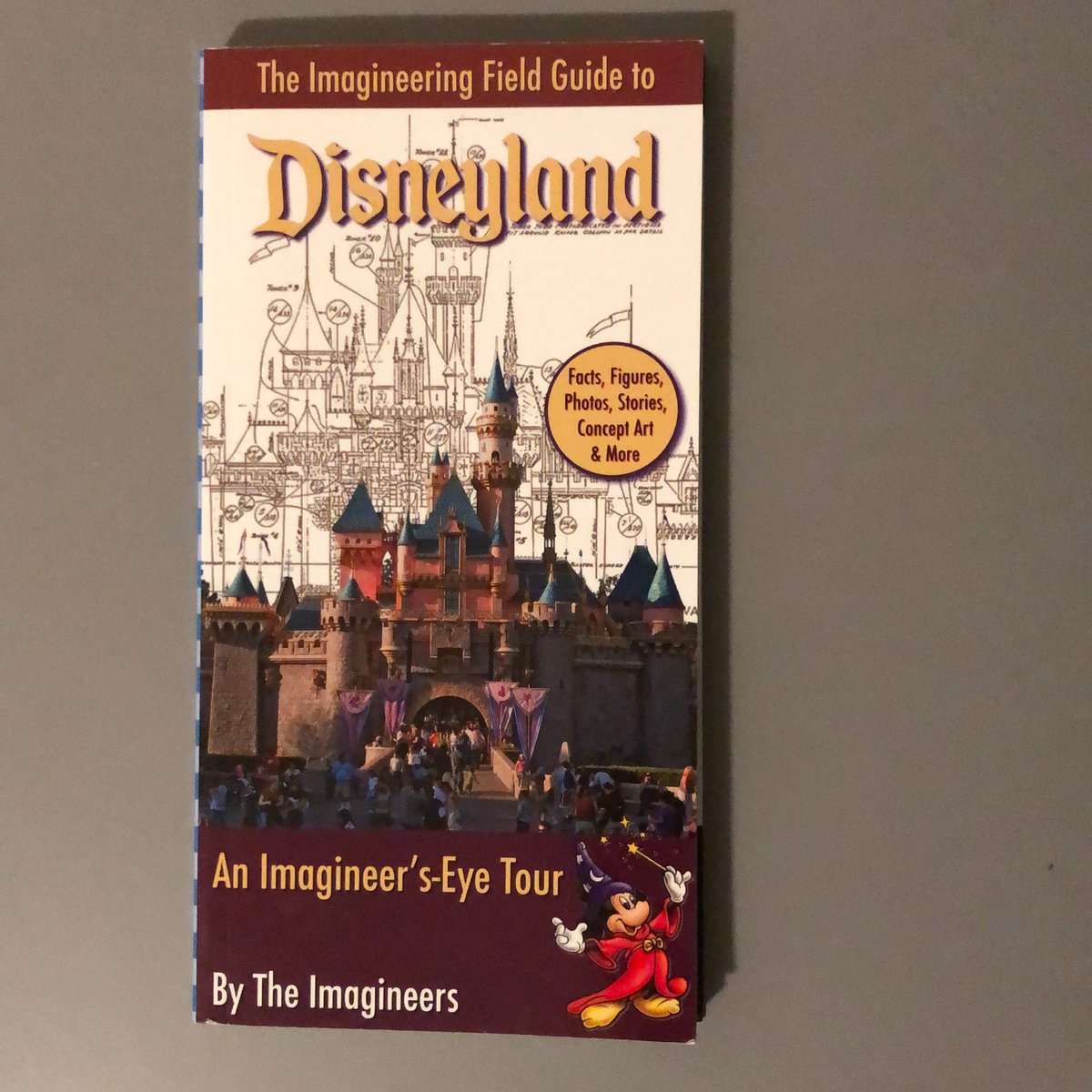 The Imagineering Field Guide to Disneyland by Alex Wright