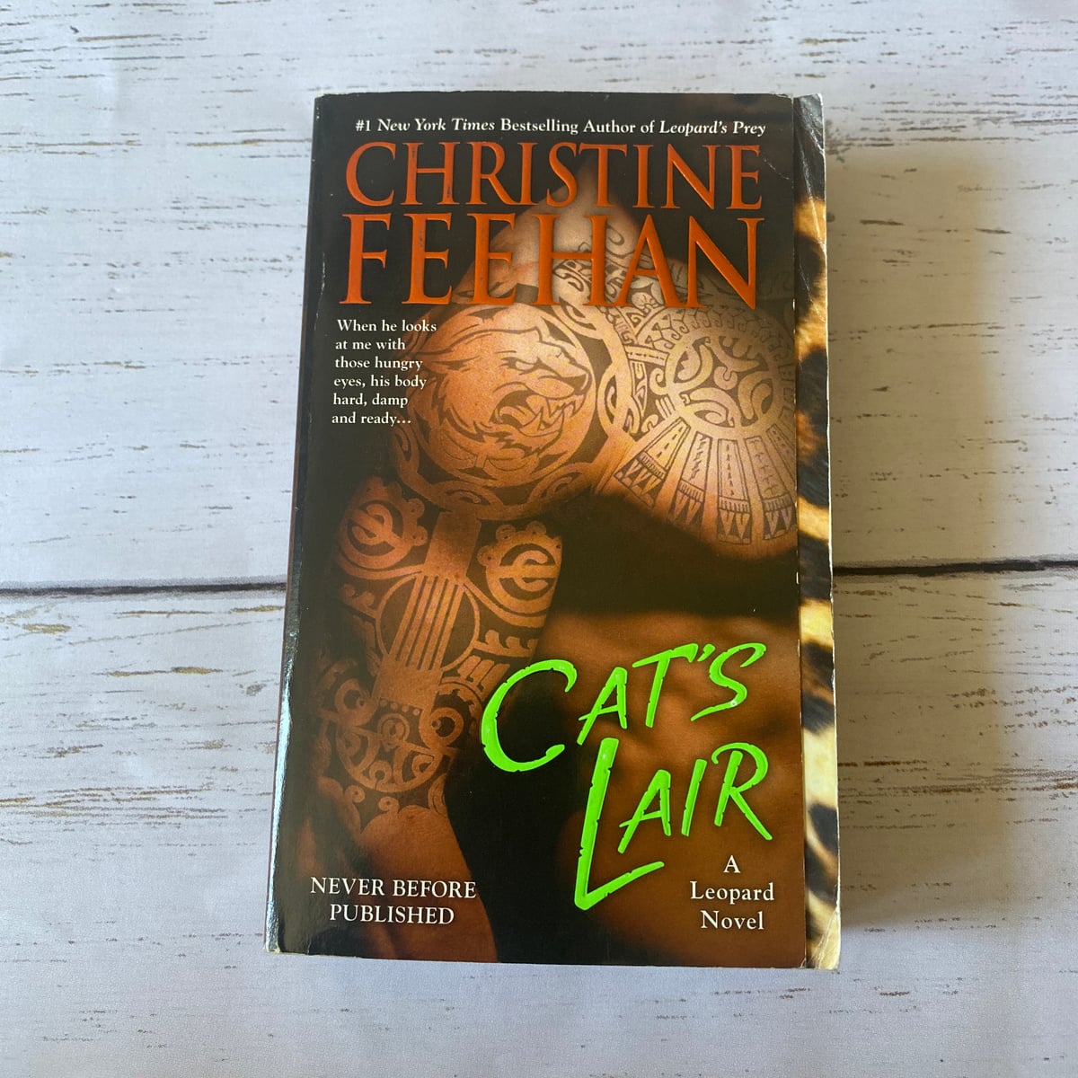 Cat's Lair by Christine Feehan