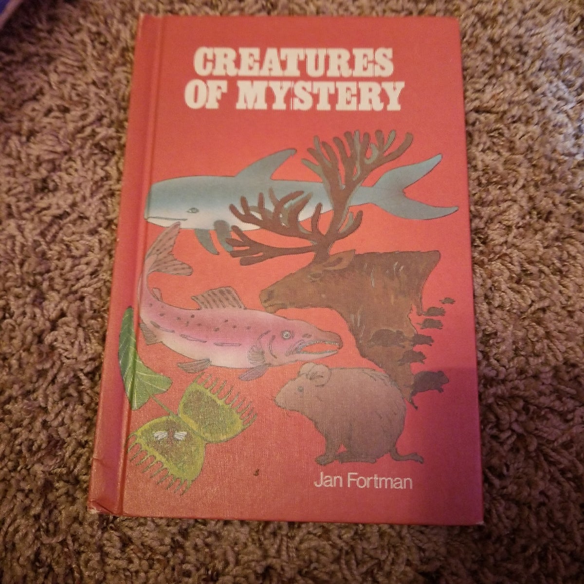 Creatures of Mystery by Jan Fortman