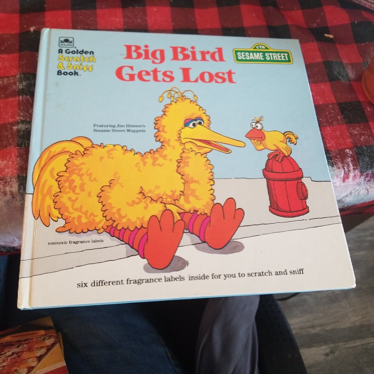 Big Bird Gets Lost by Patricia Thackray, Carol Nicklaus