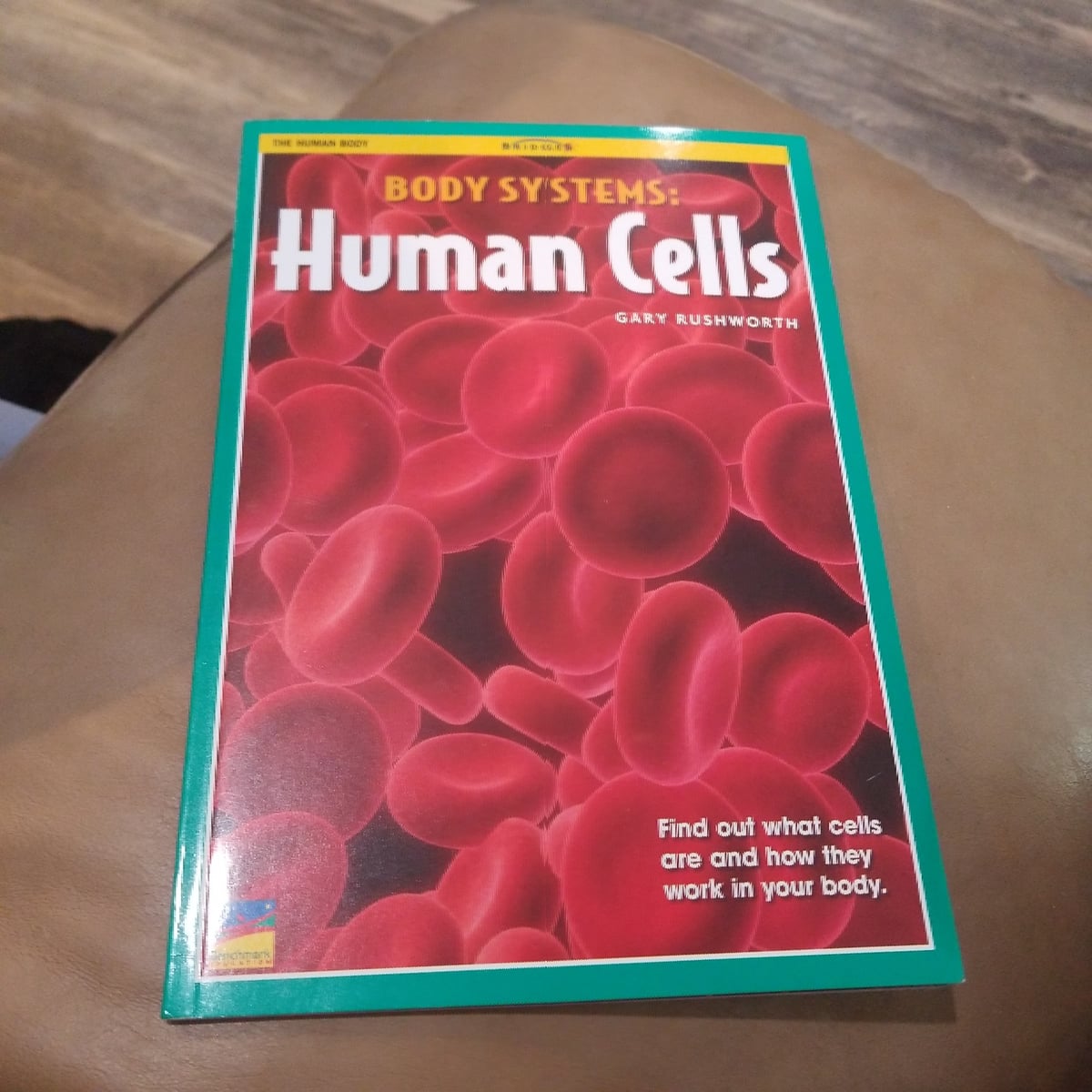 Body Systems by Gary Rushworth, Paperback | Pangobooks
