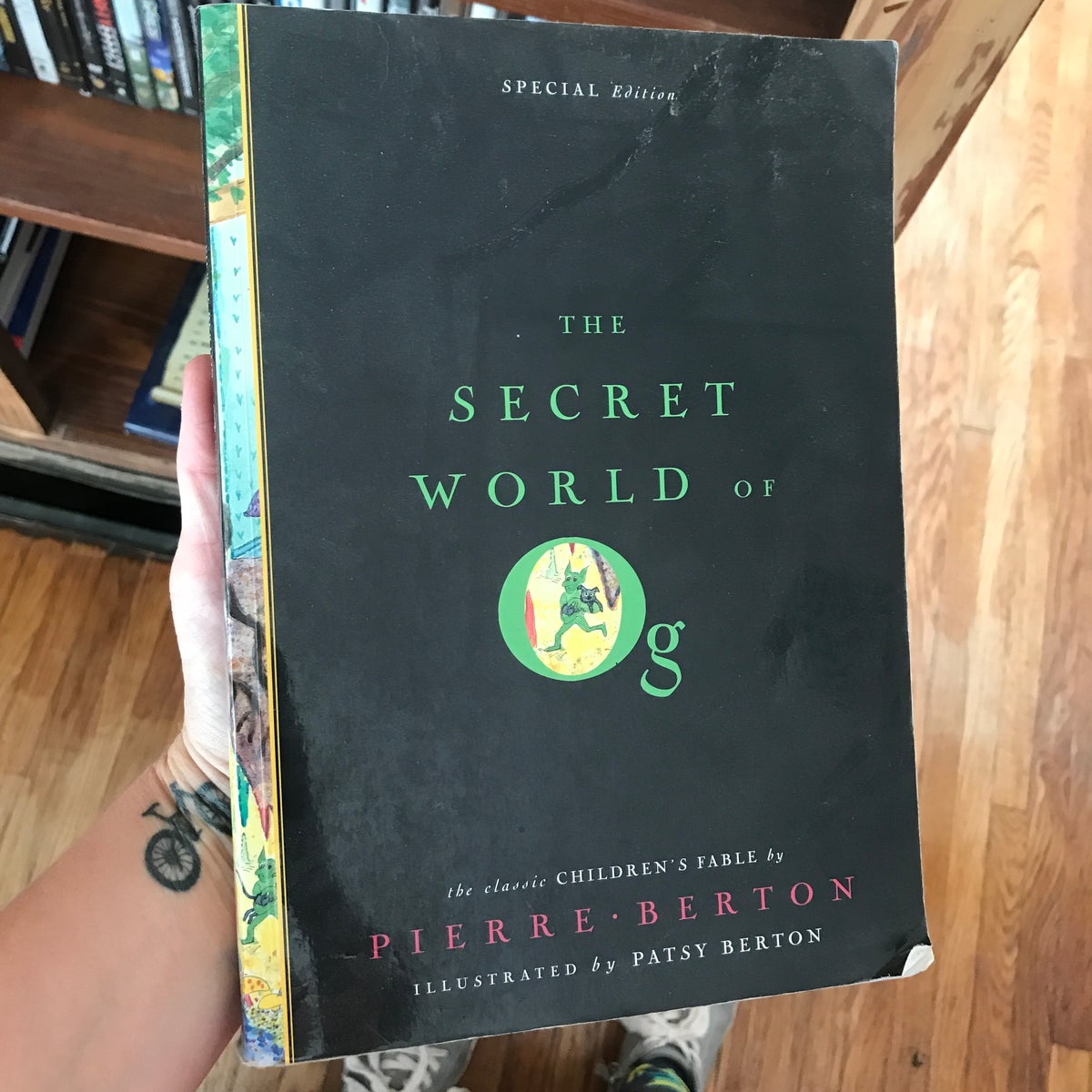 The Secret World of Og by Pierre Berton