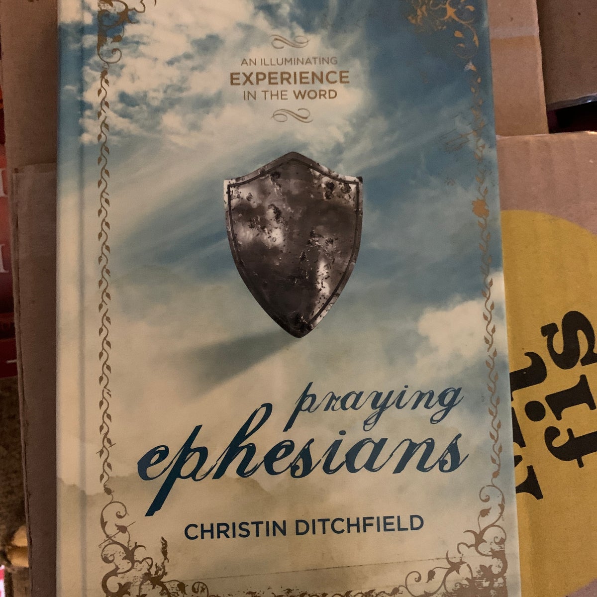 Praying Ephesians by Christin Ditchfield, Hardcover | Pangobooks