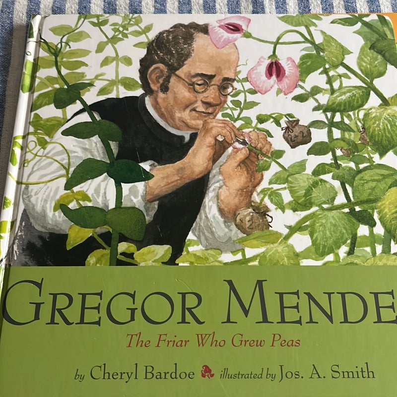 Gregor Mendel by Cheryl Bardoe