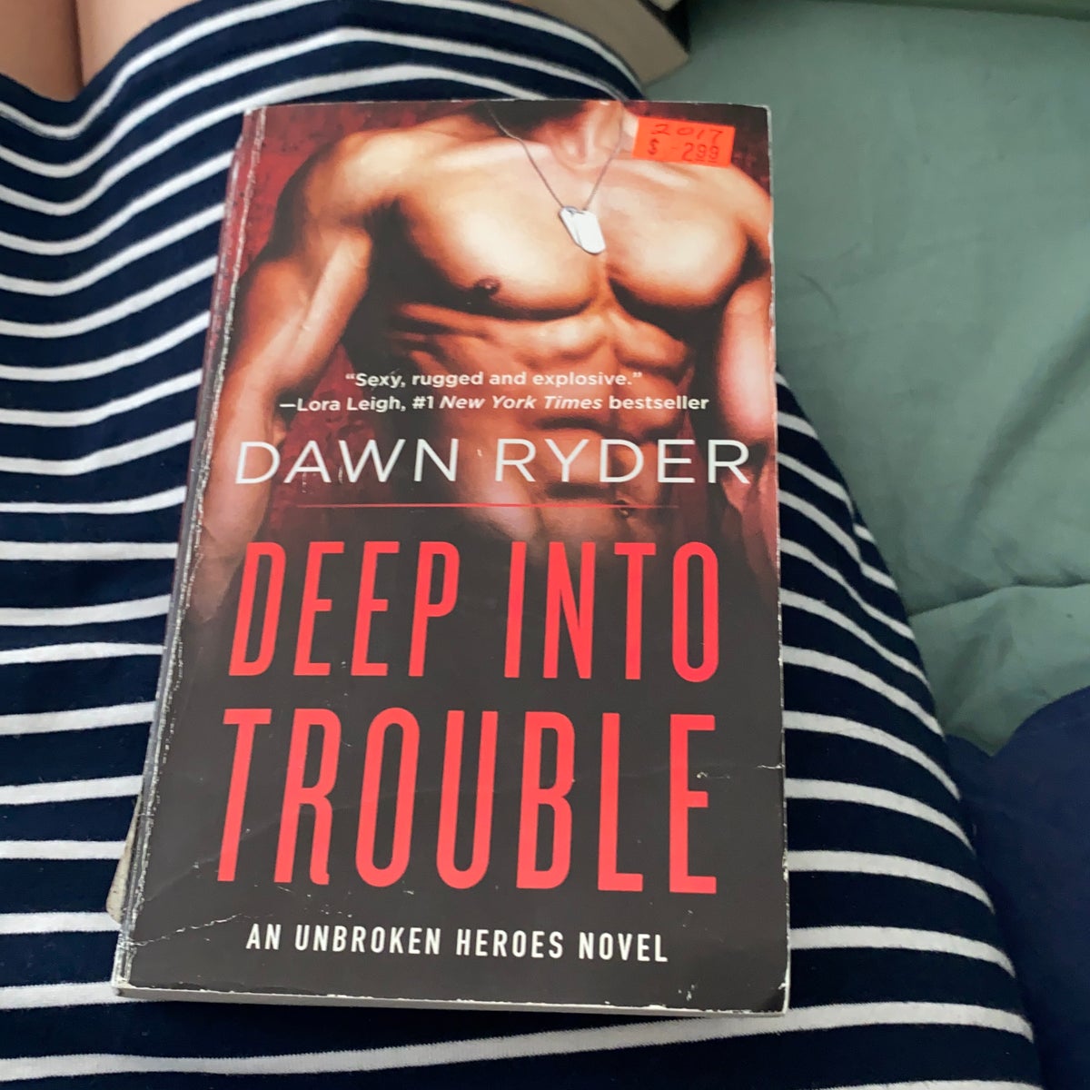 Deep into Trouble by Dawn Ryder