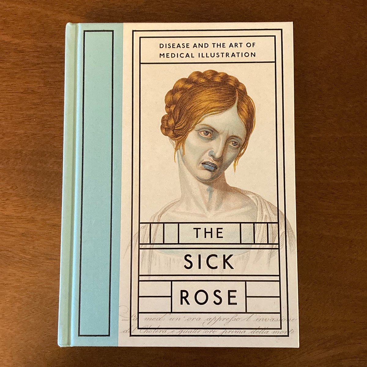 The Sick Rose by Richard Barnett