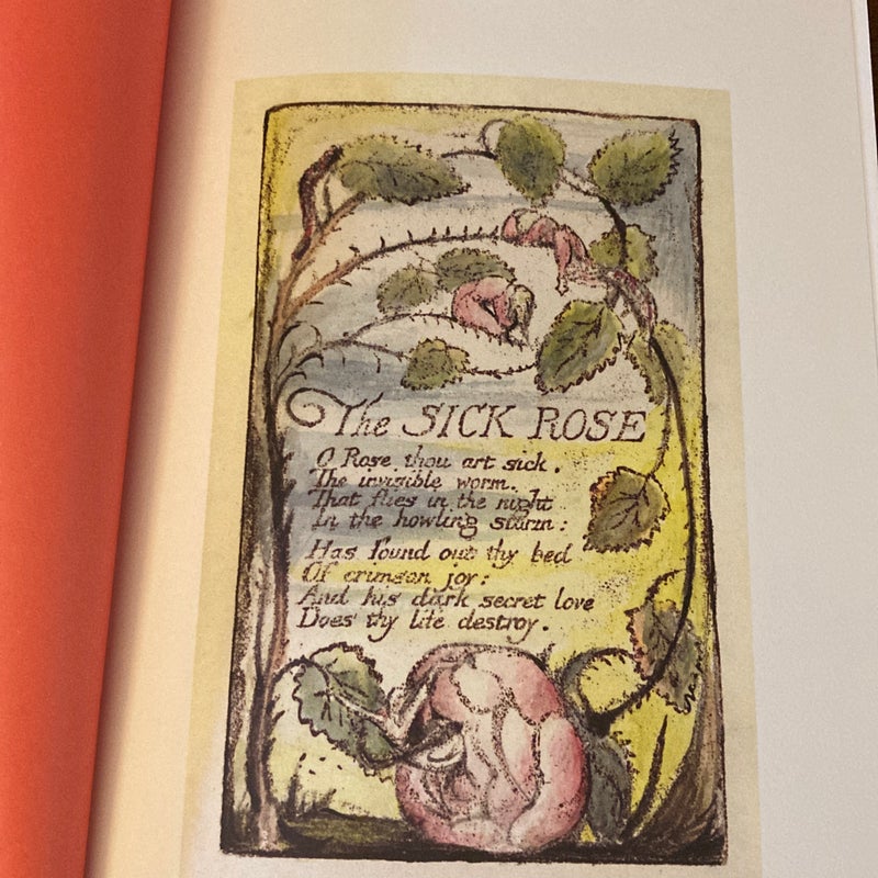 The Sick Rose by Richard Barnett