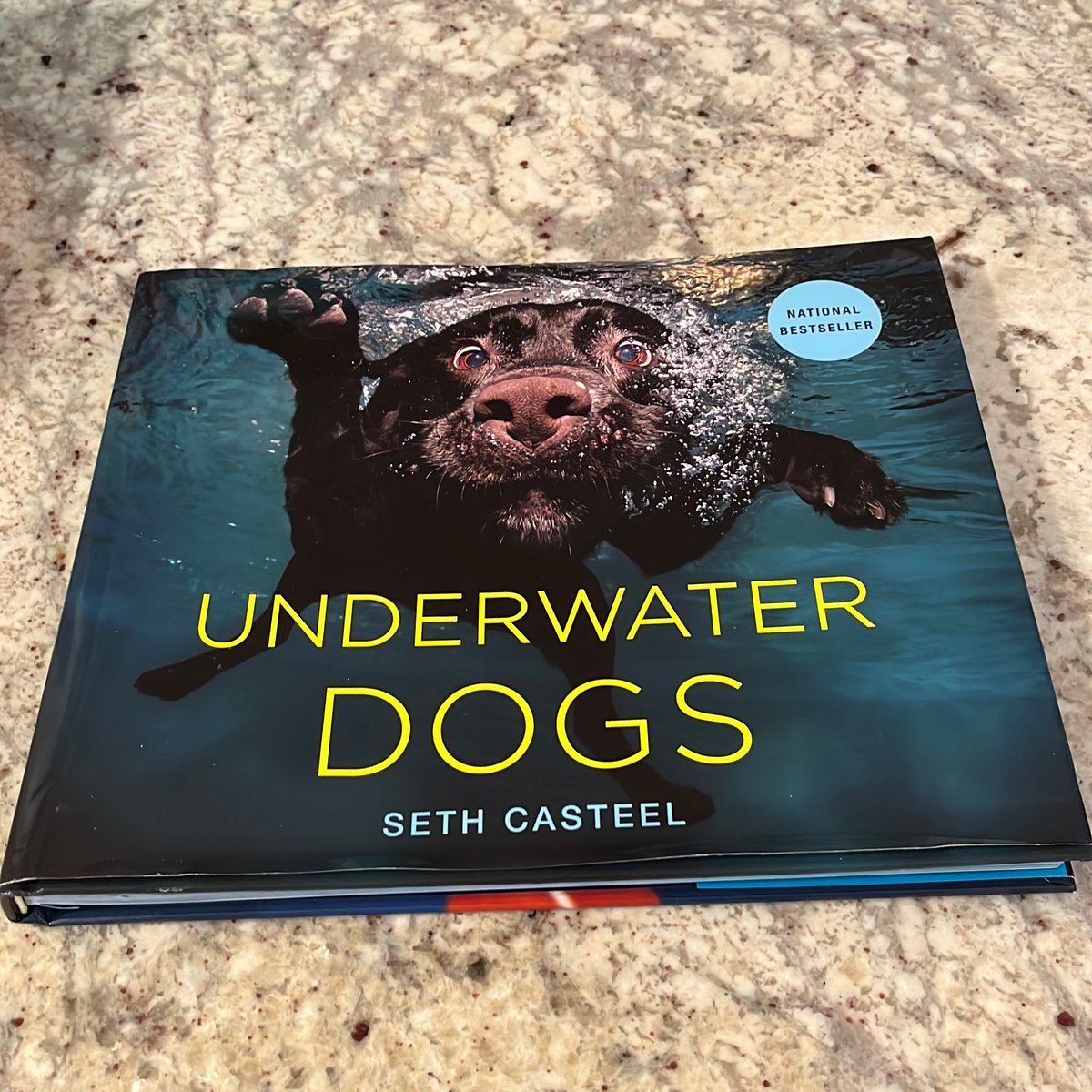 Underwater Dogs by Seth Casteel
