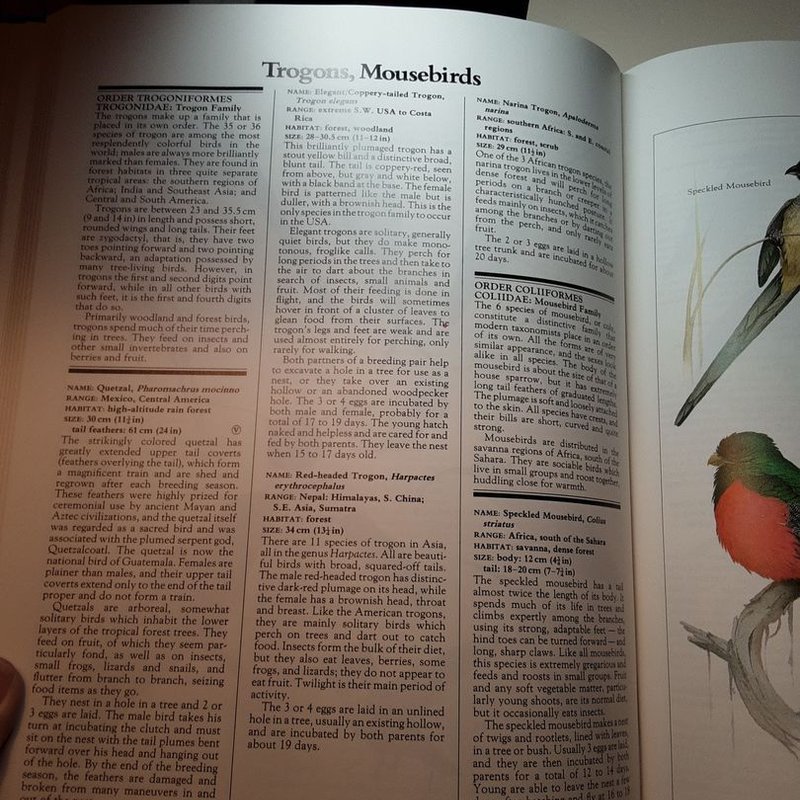 Macmillan Illustrated Animal Encyclopedia by Macmillan Publishing ...