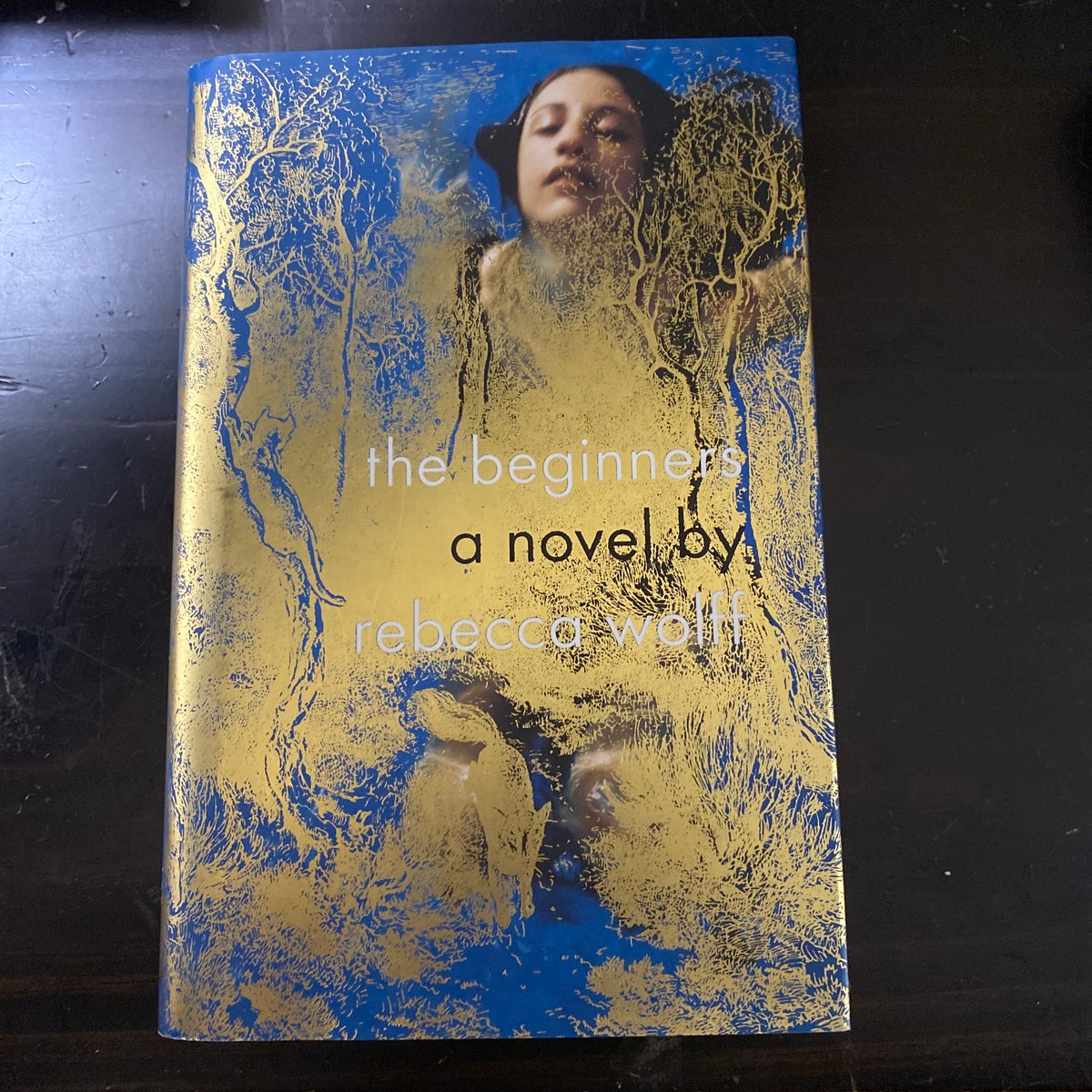 The Beginners by Rebecca Wolff