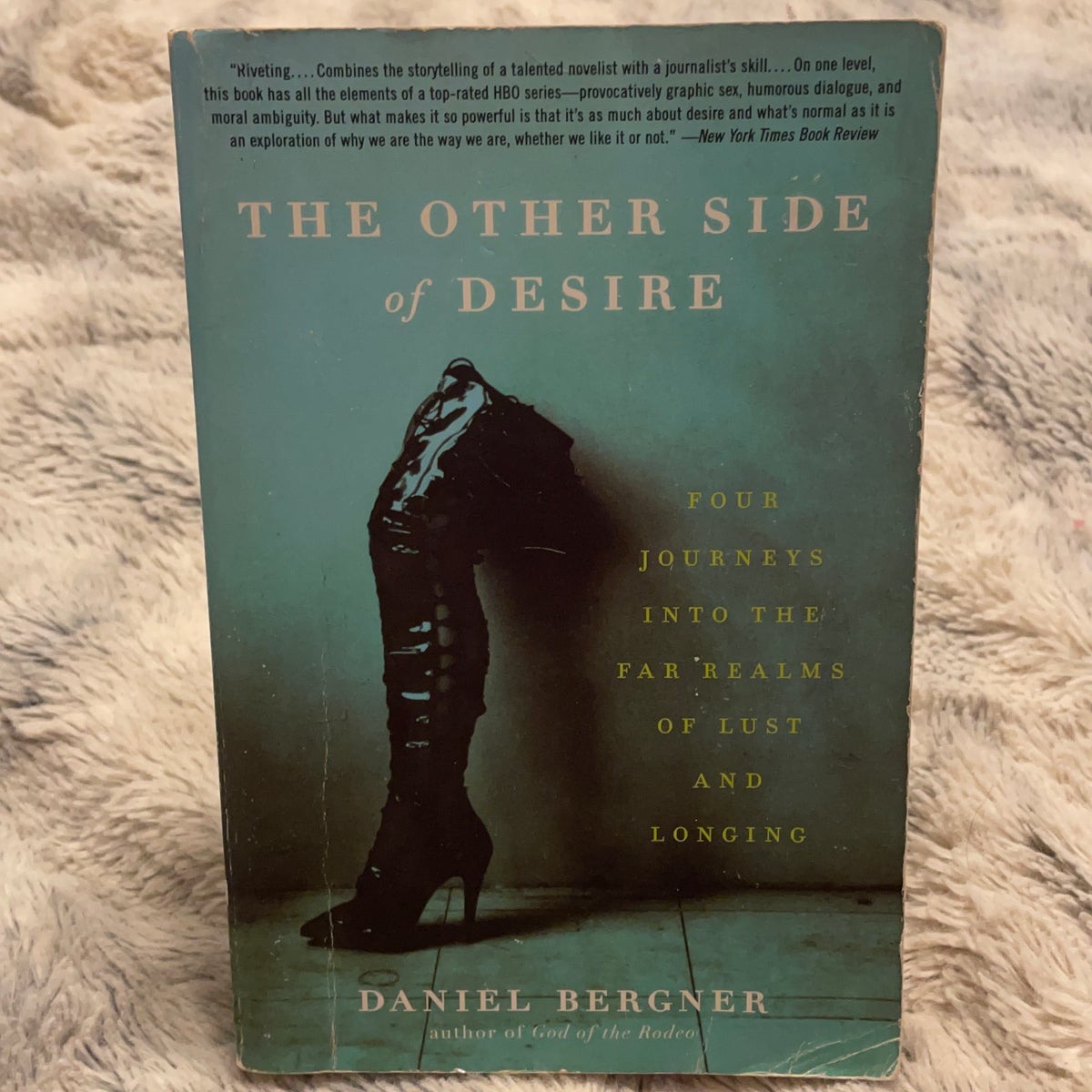 The Other Side of Desire by Daniel Bergner