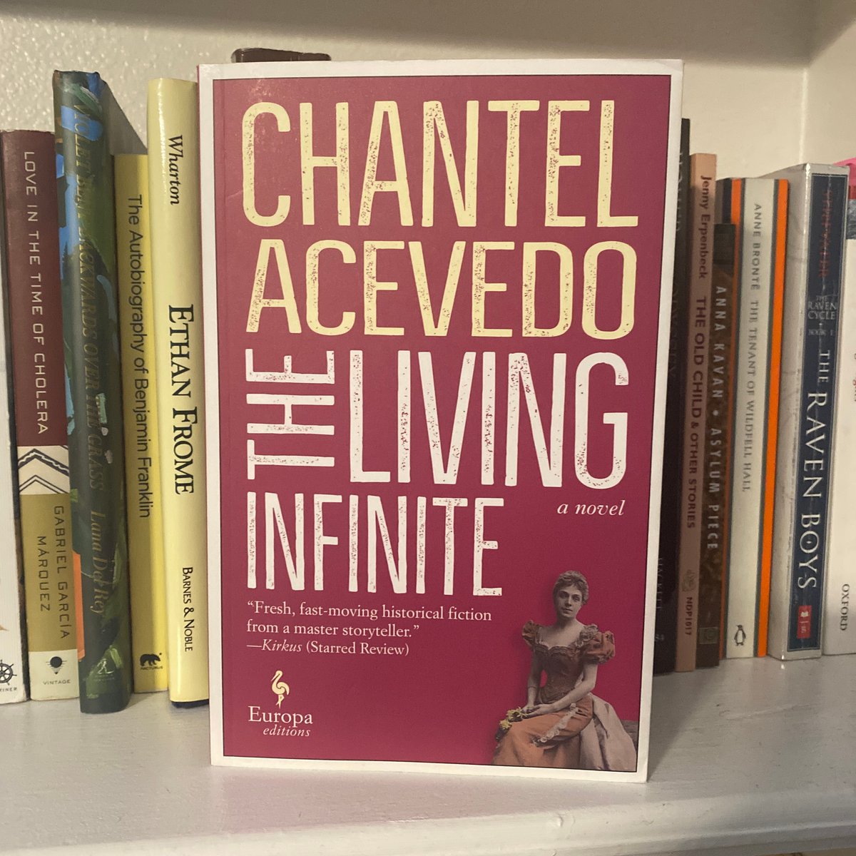 The Living Infinite by Chantel Acevedo