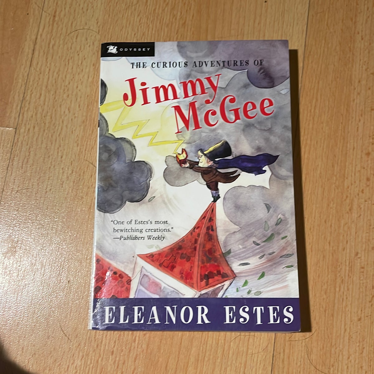 The Curious Adventures of Jimmy Mcgee by Eleanor Estes