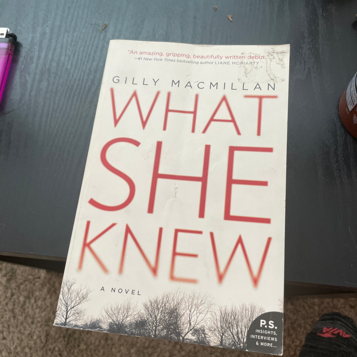 What She Knew by Gilly Macmillan, Paperback | Pangobooks