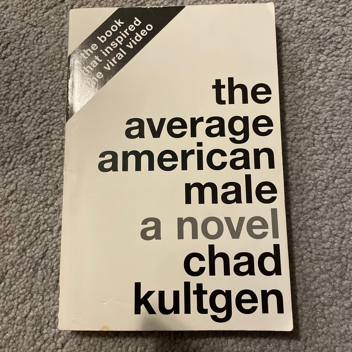 The Average American Male by Chad Kultgen