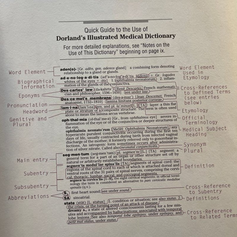 Dorland's Illustrated Medical Dictionary by Newman W. Dorland ...
