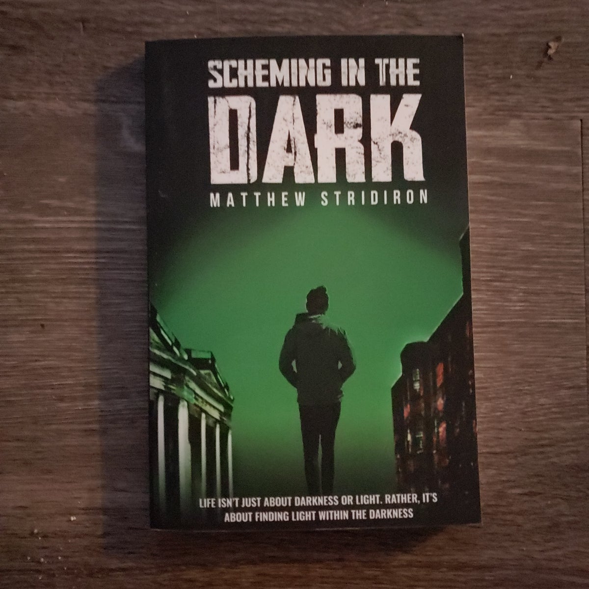 Scheming in the Dark by Matthew Stridiron