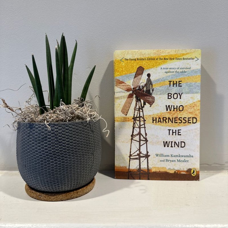 The Boy Who Harnessed the Wind