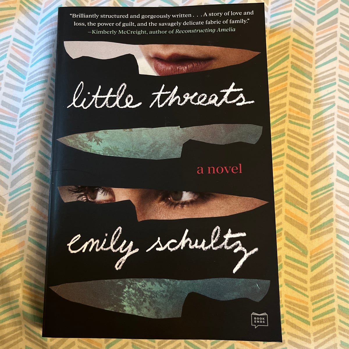 Little Threats by Emily Schultz