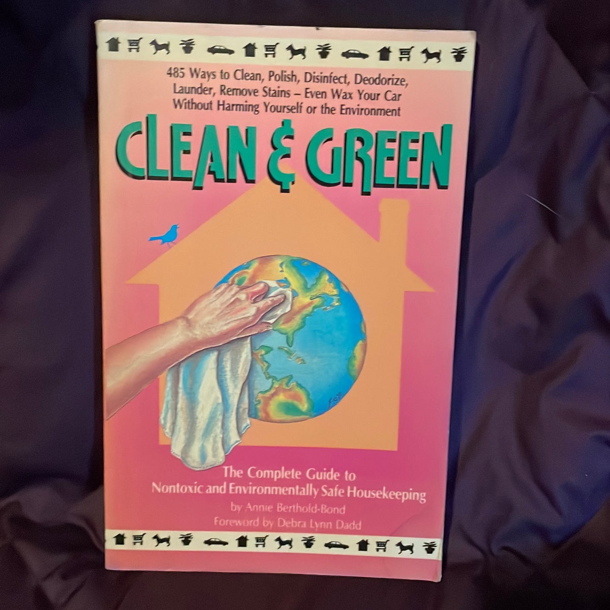 Clean and Green by Annie Berthold-Bond, Debra L. Dodd