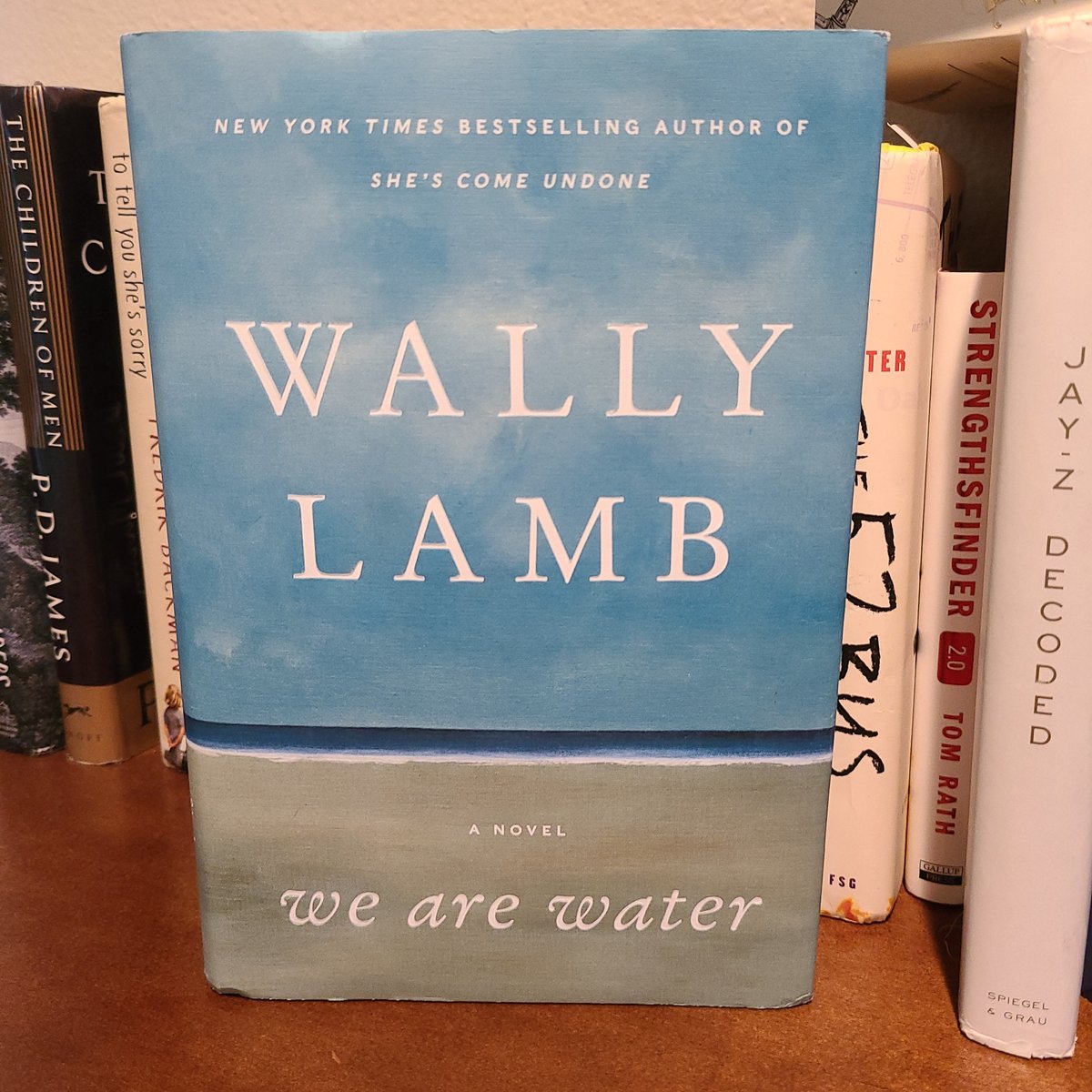 We Are Water by Wally Lamb, Hardcover | Pangobooks