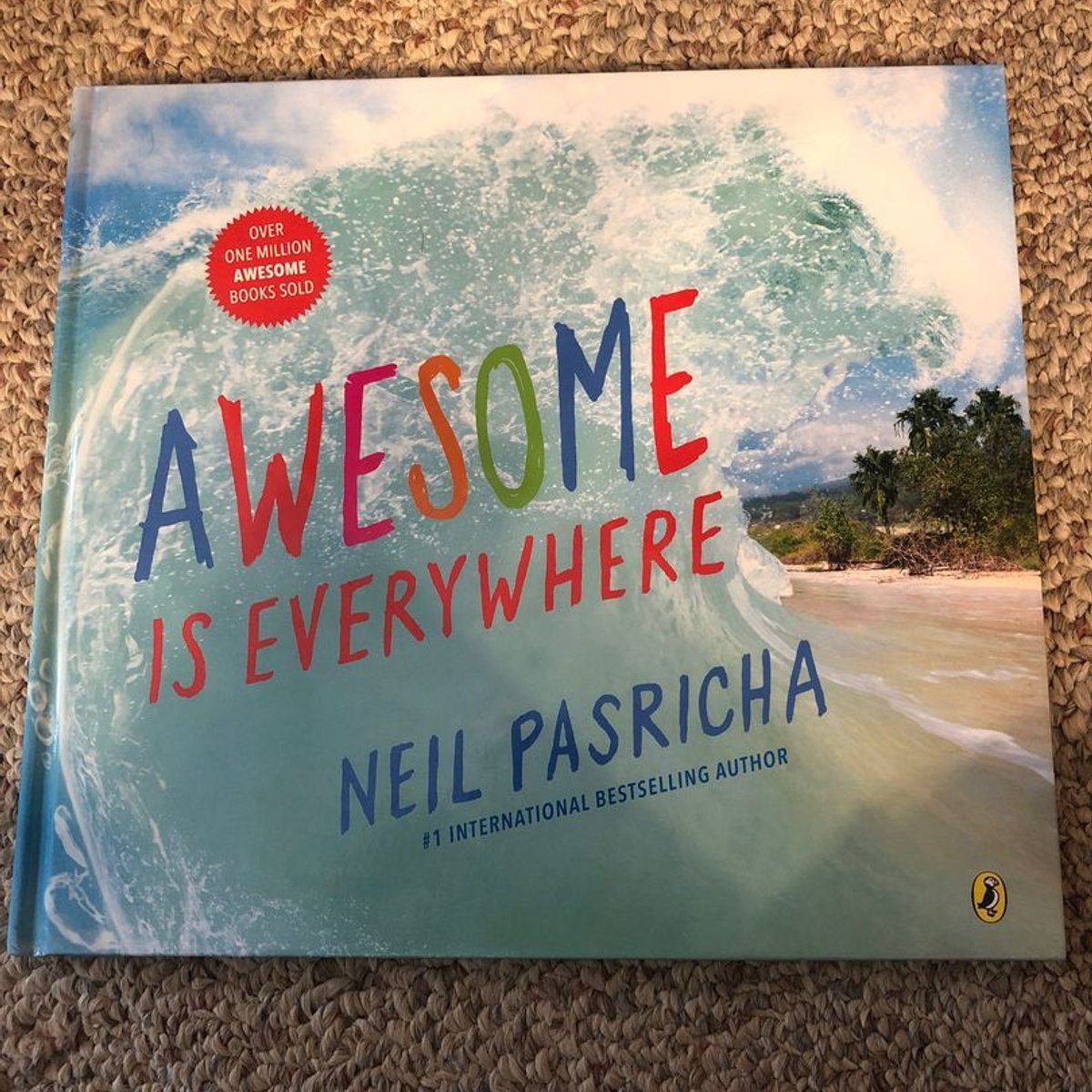 Awesome Is Everywhere by Neil Pasricha