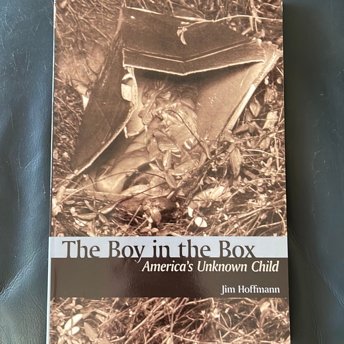 The Boy in the Box by Jim Hoffmann