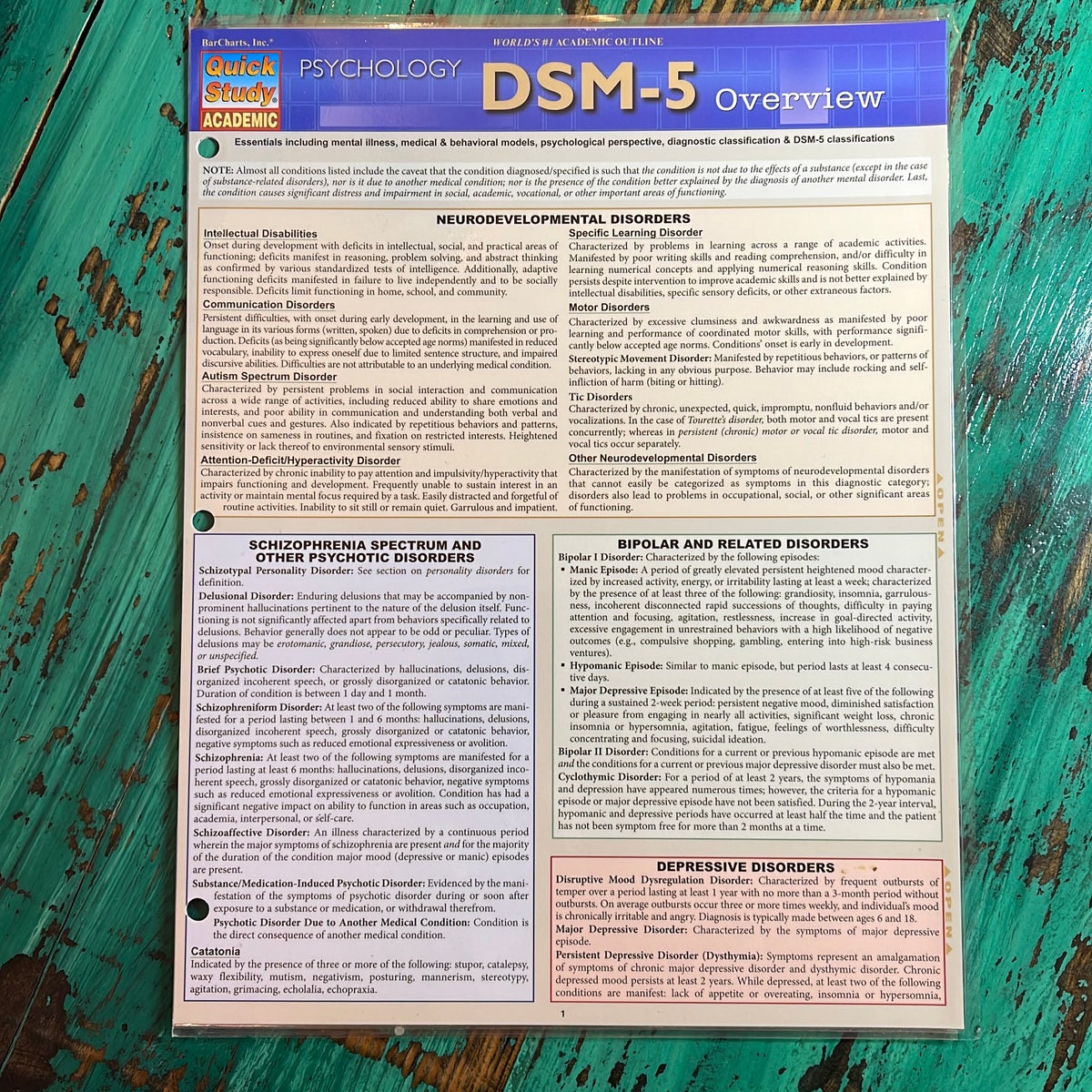 DSM-5 Overview by BarCharts, Inc. | Pangobooks