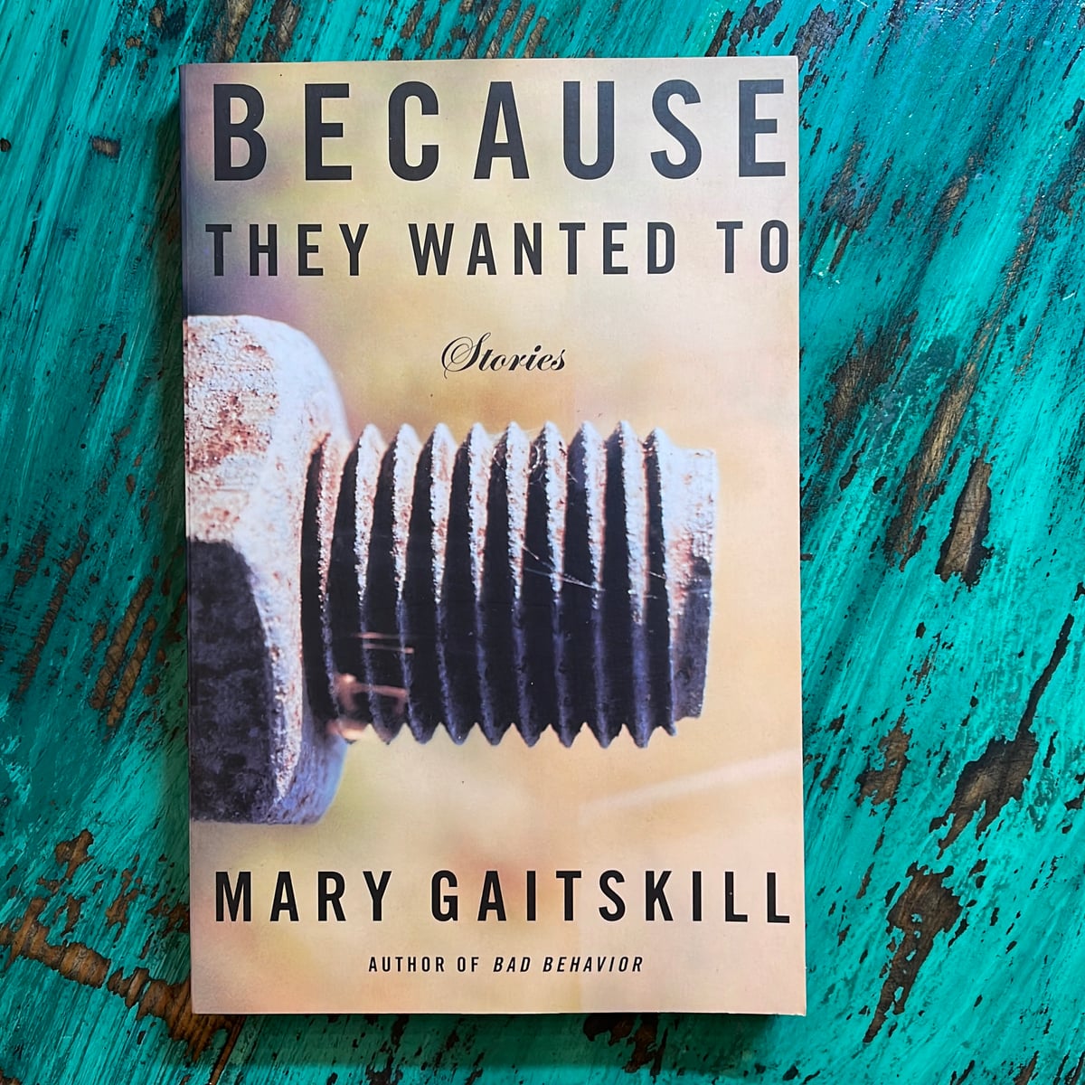 Because They Wanted To by Mary Gaitskill
