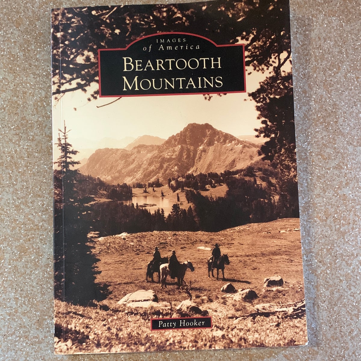Beartooth Mountains by Patty Hooker