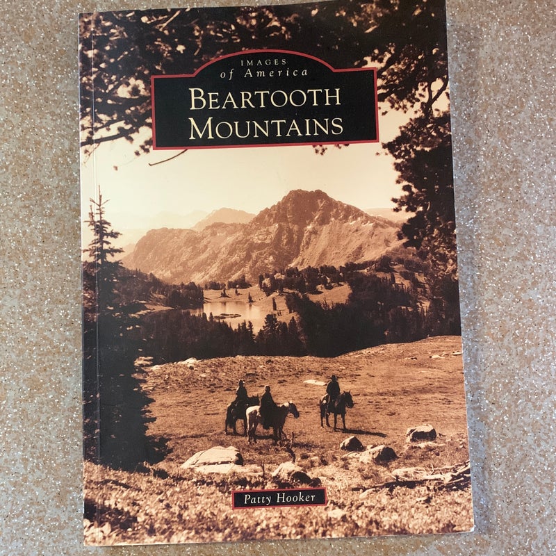 Beartooth Mountains by Patty Hooker