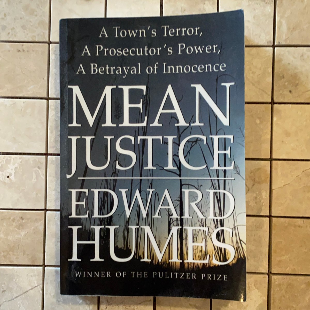 Mean Justice by Edward Humes