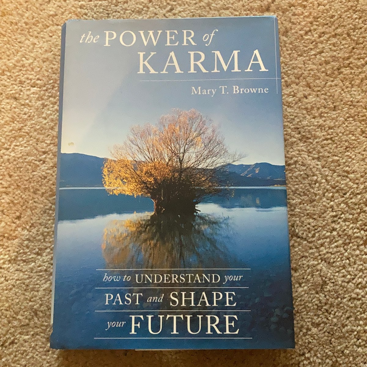 The Power of Karma by Mary T. Browne