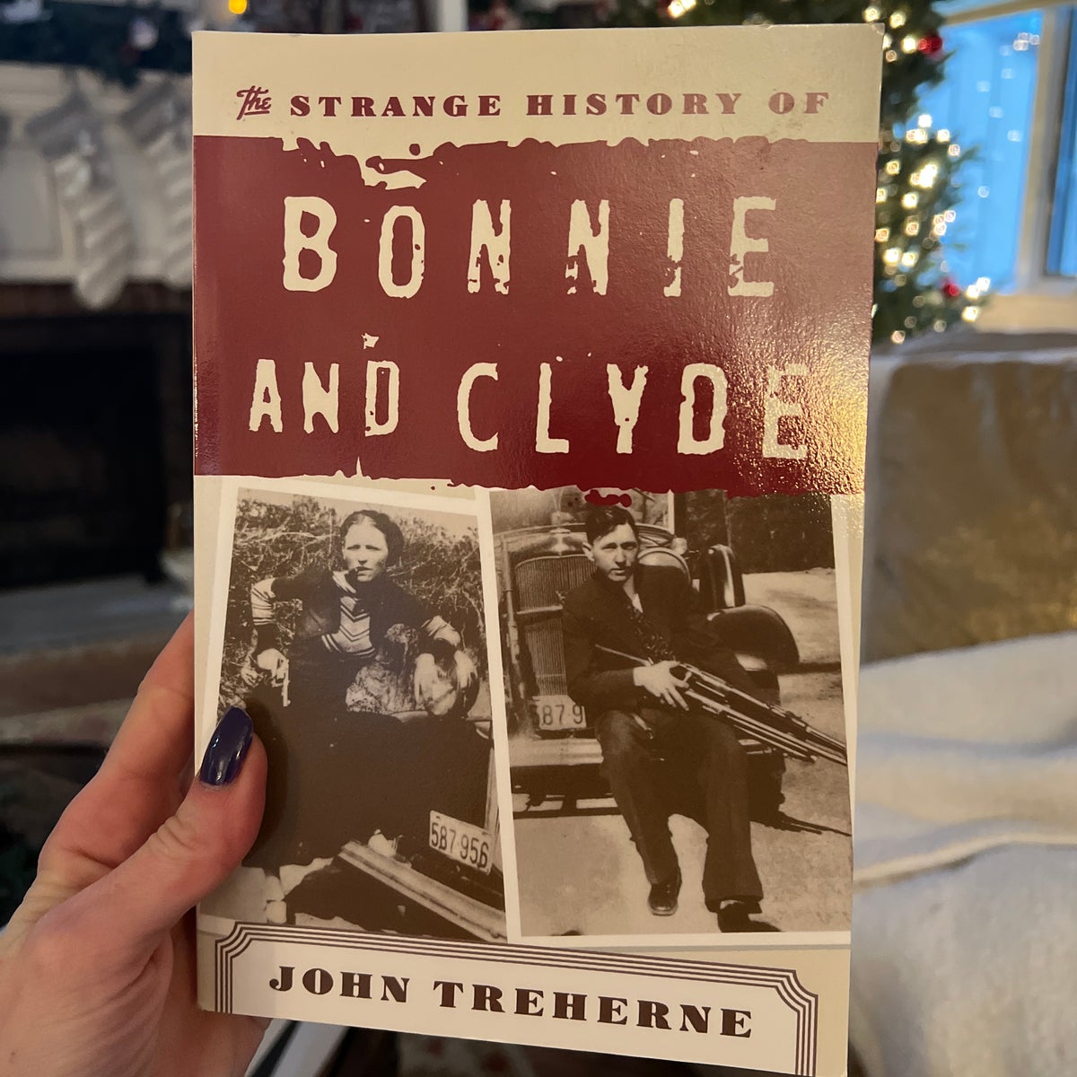 The Strange History of Bonnie and Clyde by John Treherne