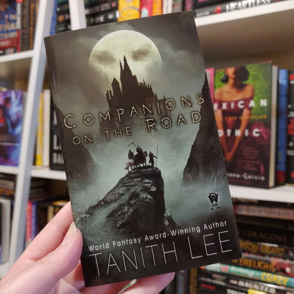 Companions on the Road by Tanith Lee, Paperback | Pangobooks