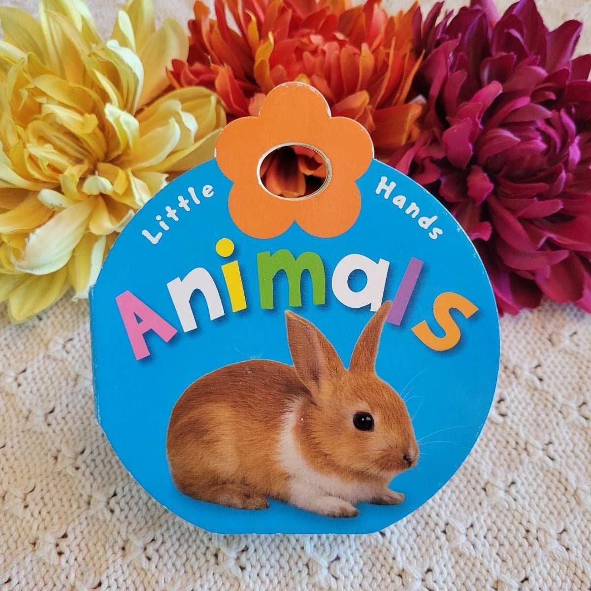Little Hands Animals by Katie Cox