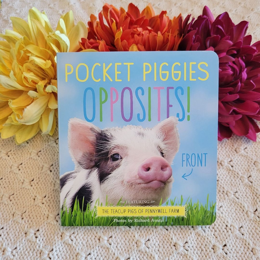 Pocket Piggies Opposites! by Richard Austin, Hardcover | Pangobooks
