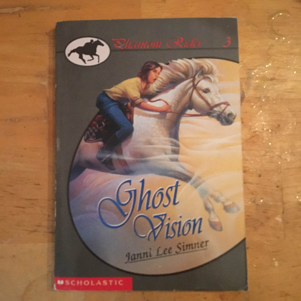 Phantom Rider by Janni Lee Simner