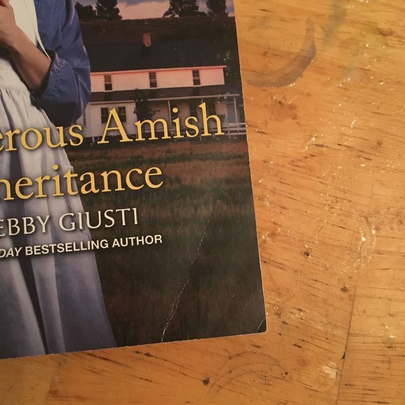 Dangerous Amish Inheritance and Hidden in Amish Country by Debby Giusti ...