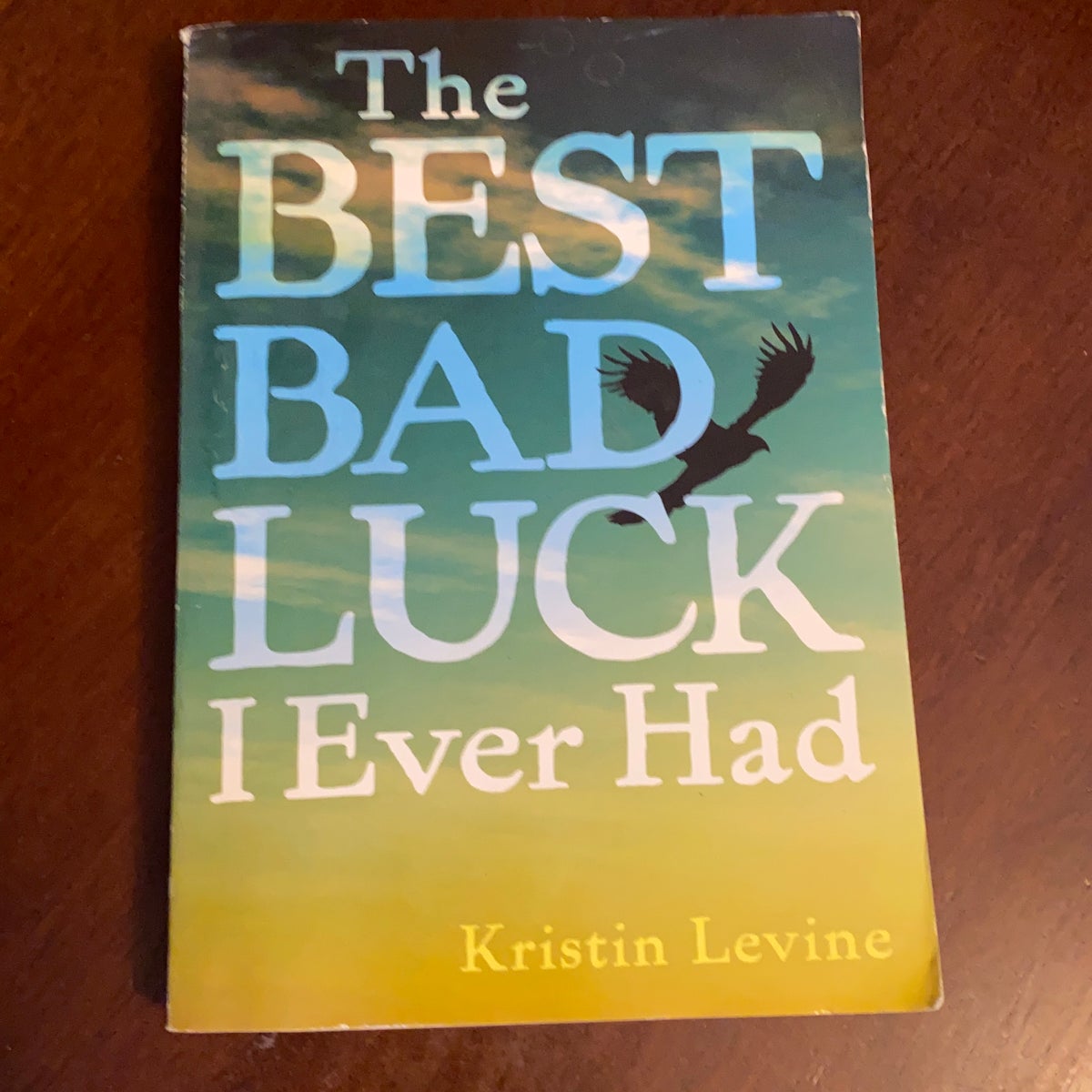 The Best Bad Luck I Ever Had by Kristin Levine