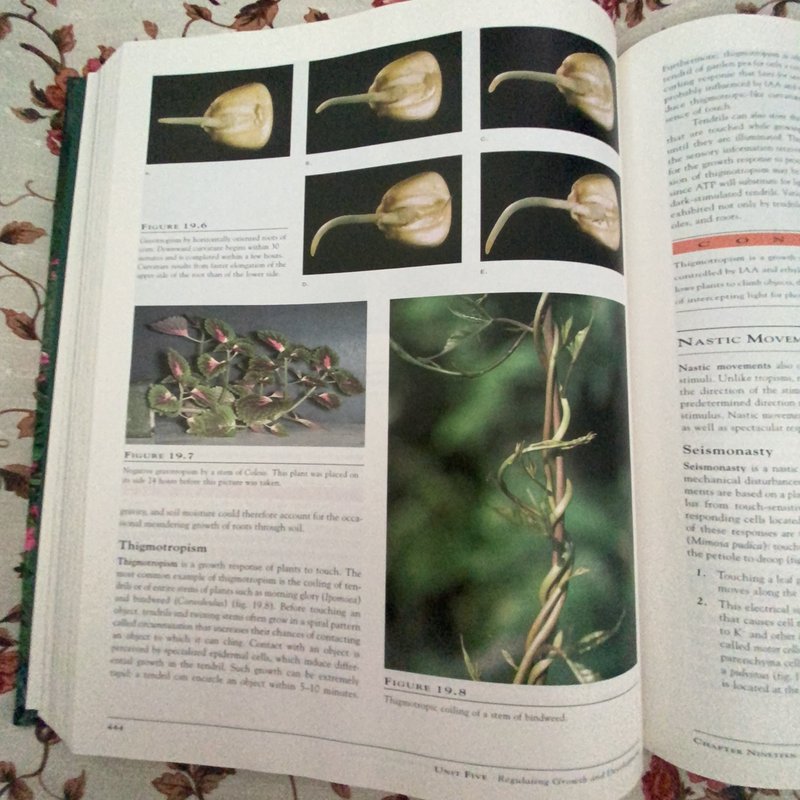 Botany by Randall C. Moore; Darrell S. Vodopich; W. Dennis Clark ...