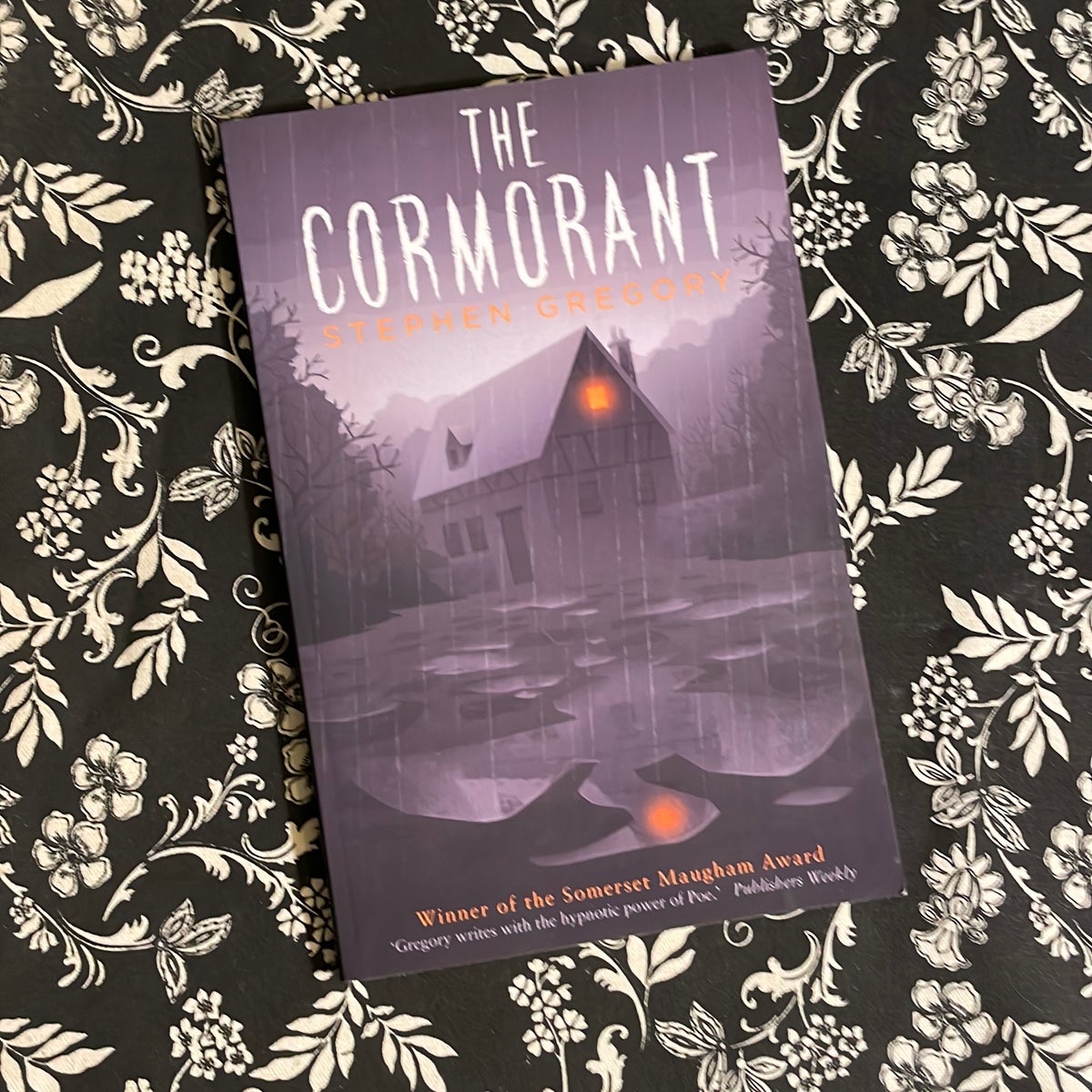 The Cormorant by Stephen Gregory | Pangobooks