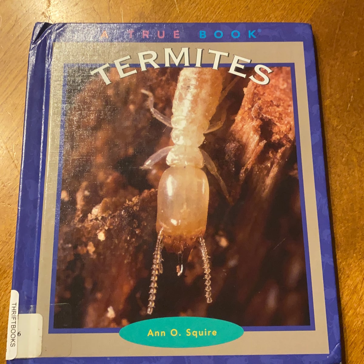 Termites by Ann O. Squire