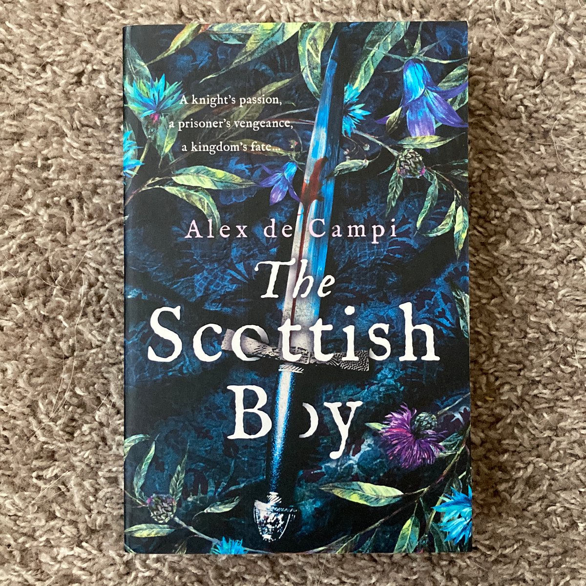Scottish Boy by Alex de Campi