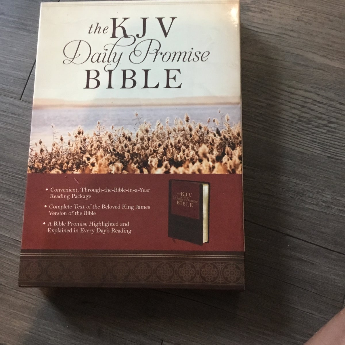 The KJV Daily Promise Bible by Barbour Publishing Staff