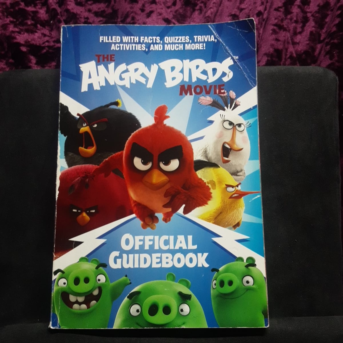 The Angry Birds Movie Official Guidebook by Chris Cerasi