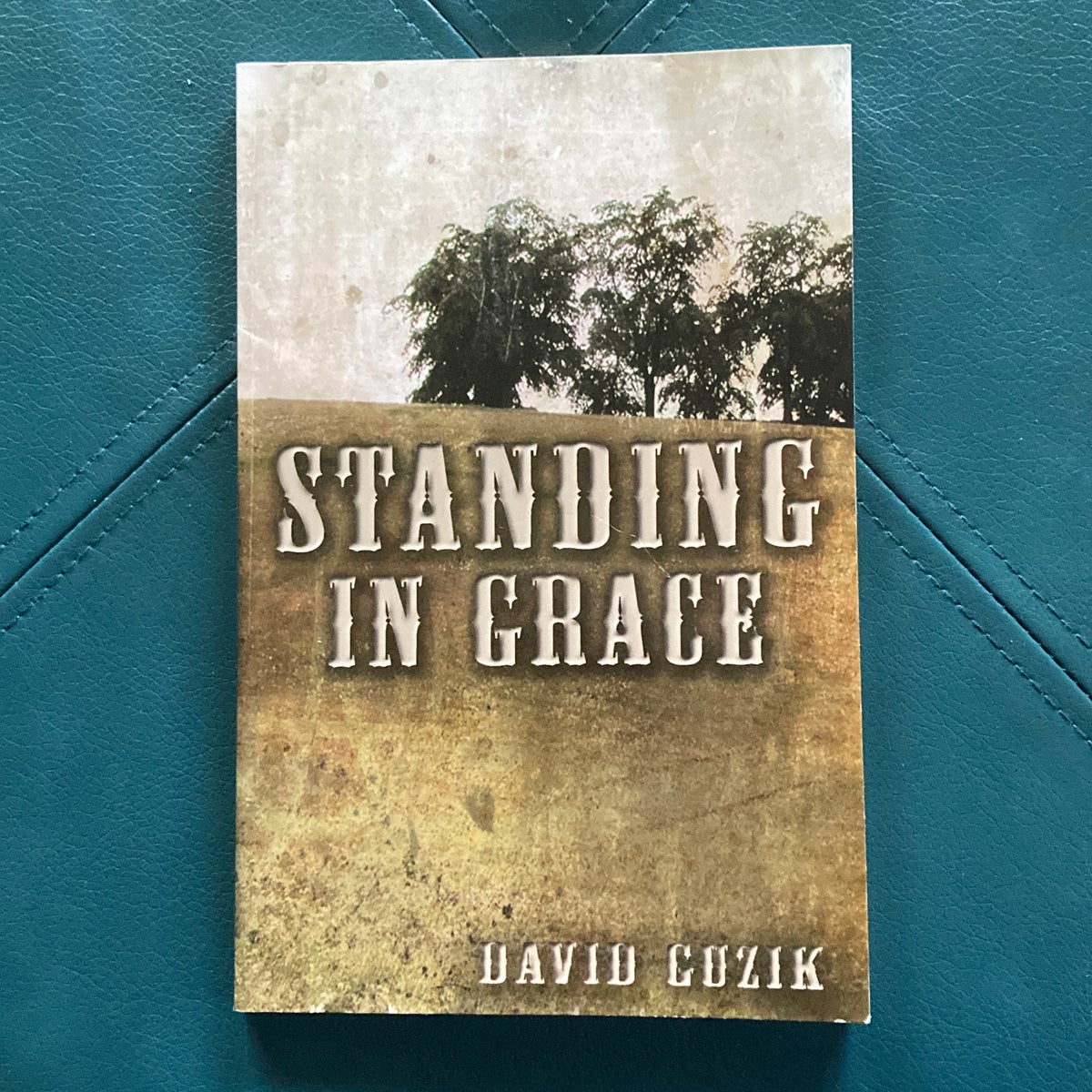 Standing in Grace by David Guzik
