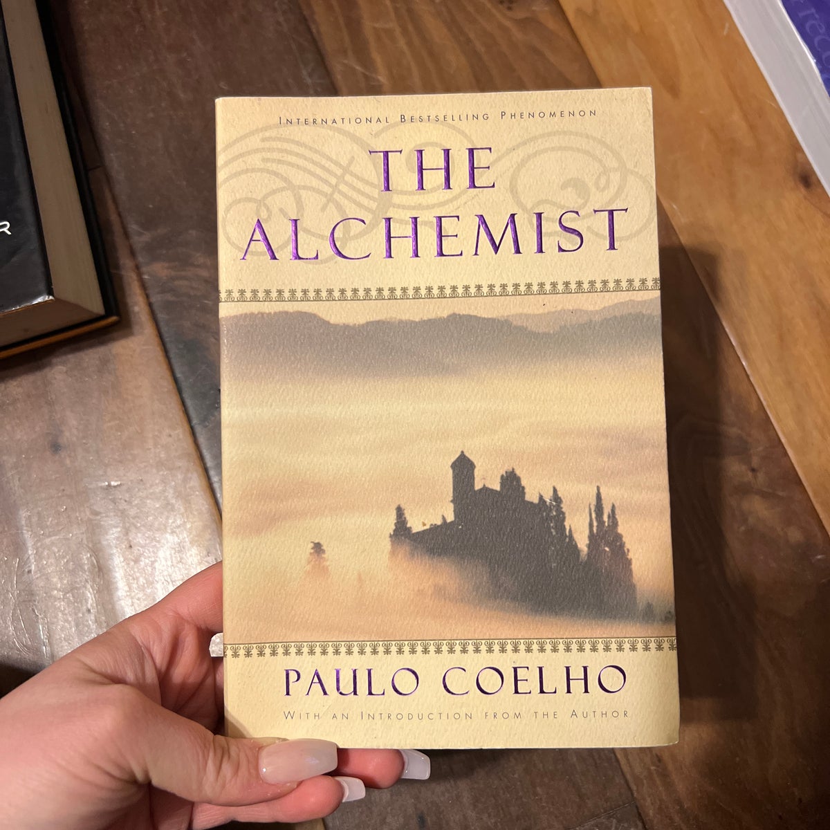 The Alchemist by Paulo Coelho, Paperback | Pangobooks