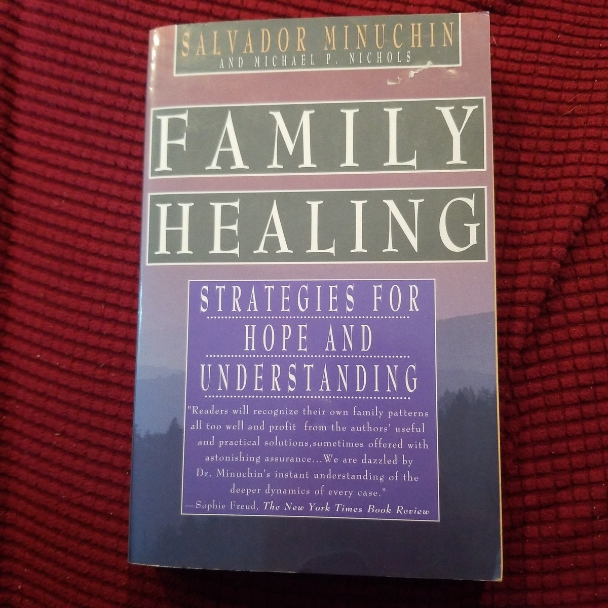 Family Healing by Salvador Minuchin, Michael P. Nichols